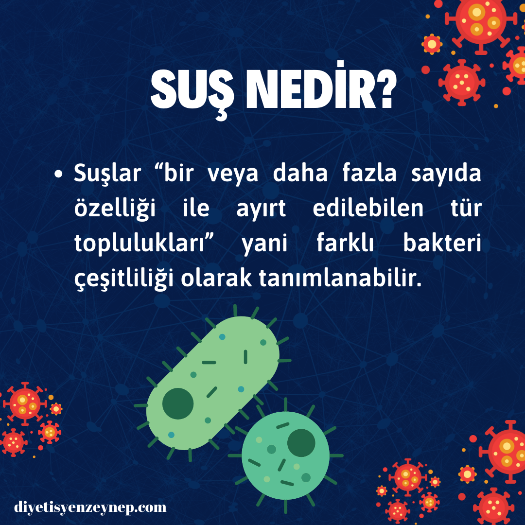Probiyotikler - Diyetisyen Zeynep Sıla Gümüş